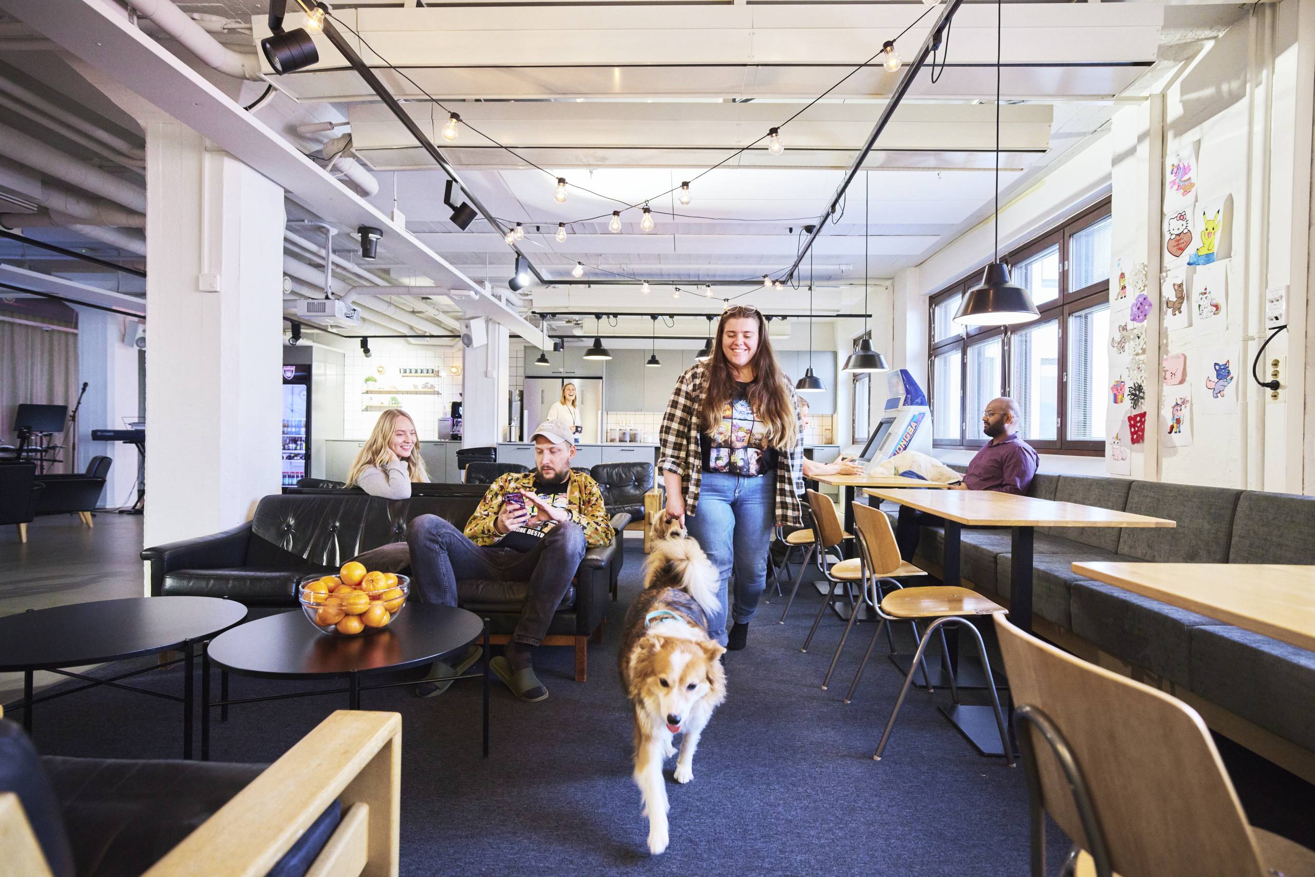 Redlynx – About us